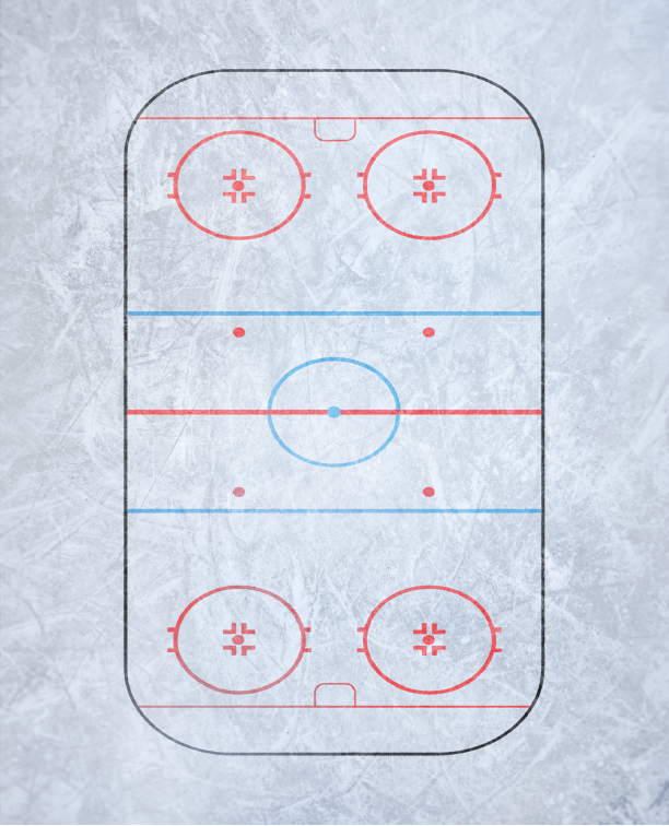 Printed Vinyl Panel 8.5x10.5 Hockey Rink| Glitterbugfairy