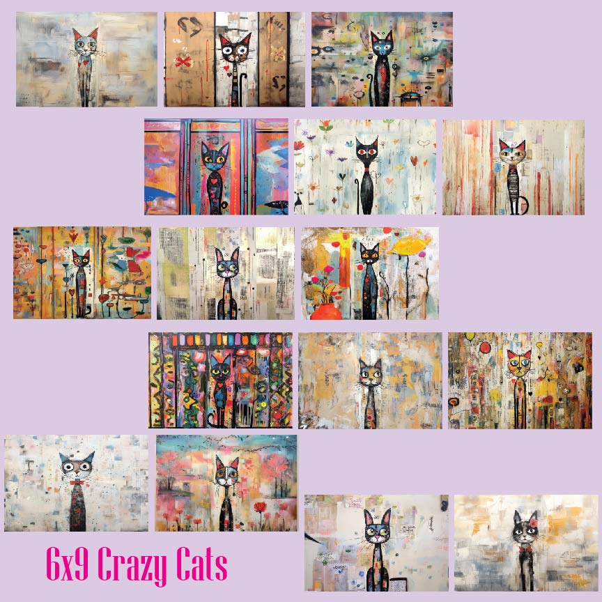 zipper bag panels Crazy Cats 6x9 Jumbo| Glitterbugfairy